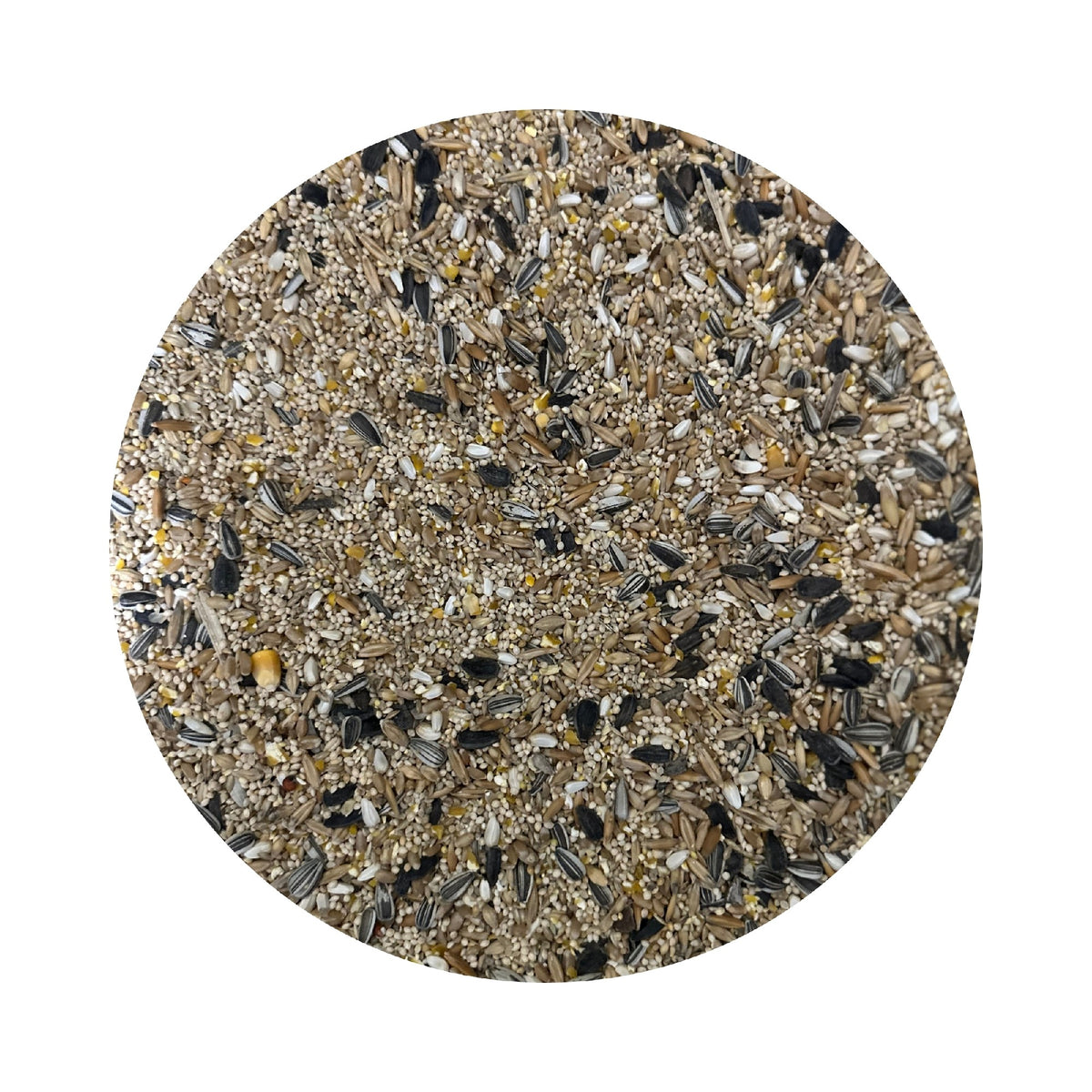 Avigrain - Small Parrot Mix - Per Kg – Northside Produce Agency