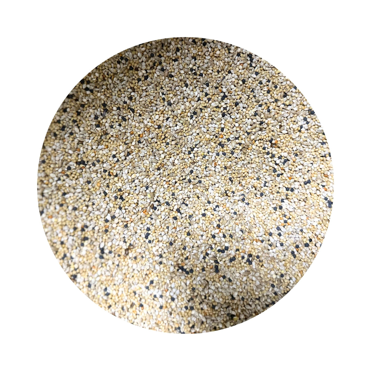 Avigrain - Finch Mix - 20kg – Northside Produce Agency