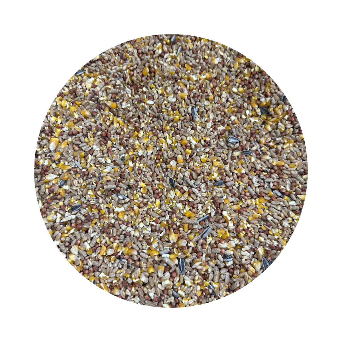 Northside Produce Coarse Layer Mash - 20kg – Northside Produce Agency